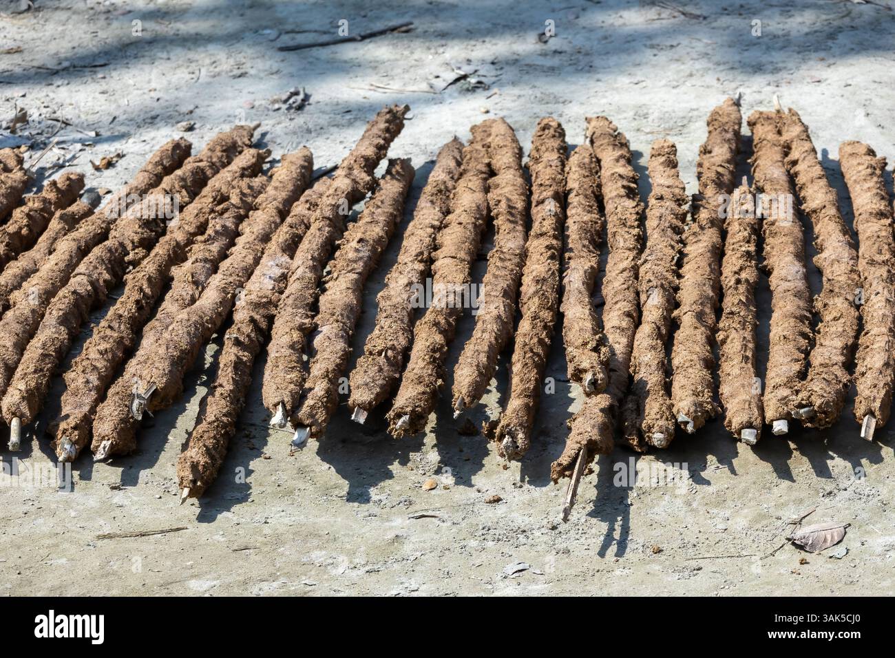 Cow dung sticks drying in the sun, used as fuel for cooking in rural ...