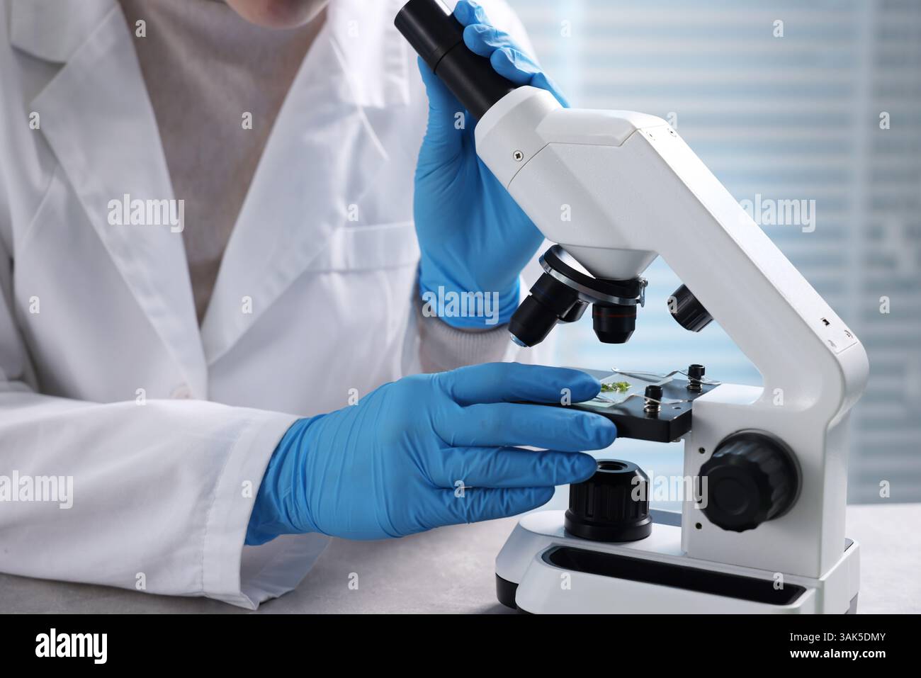 Biochemistry. Scientist looking at plant with microscope in laboratory ...