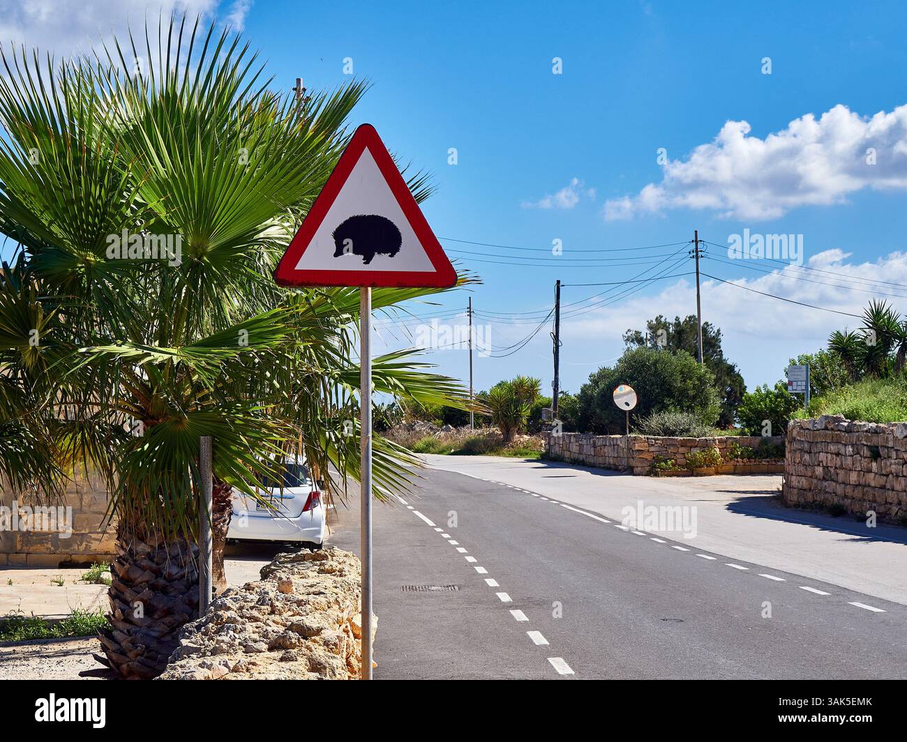 Road sign warning of hedgehogs in the road Stock Photo - Alamy