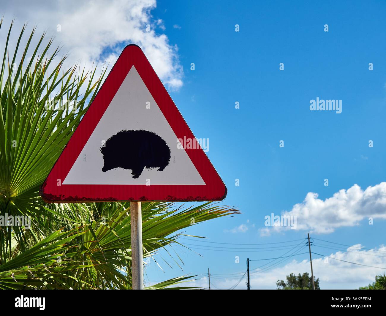 Road sign warning of hedgehogs in the road Stock Photo - Alamy