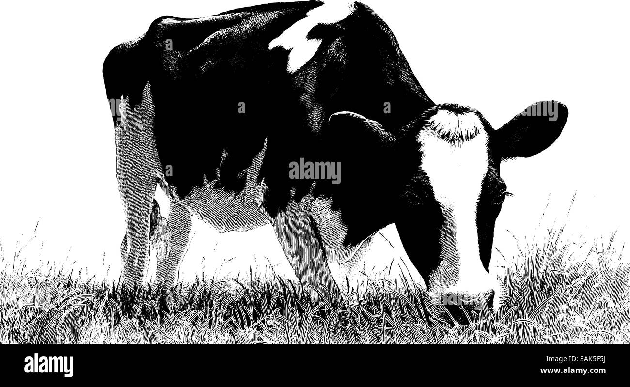 Engraved illustration of earth protected by hands for environmental ...