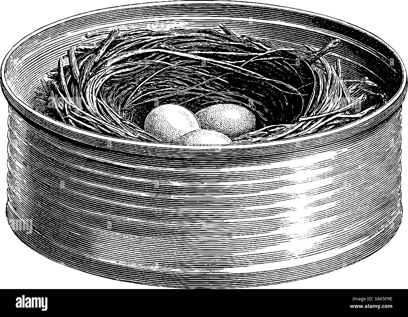 Engraved artwork of bird nest with eggs in a circular structure for ...
