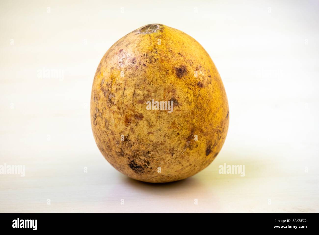 A whole wood apple, also known as bael fruit, has the scientific name ...