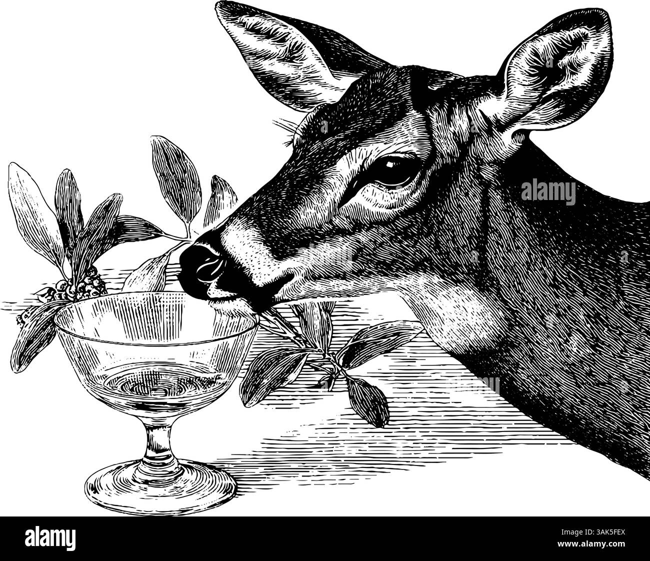 Engraved art of deer with majestic antlers for nature and wildlife ...