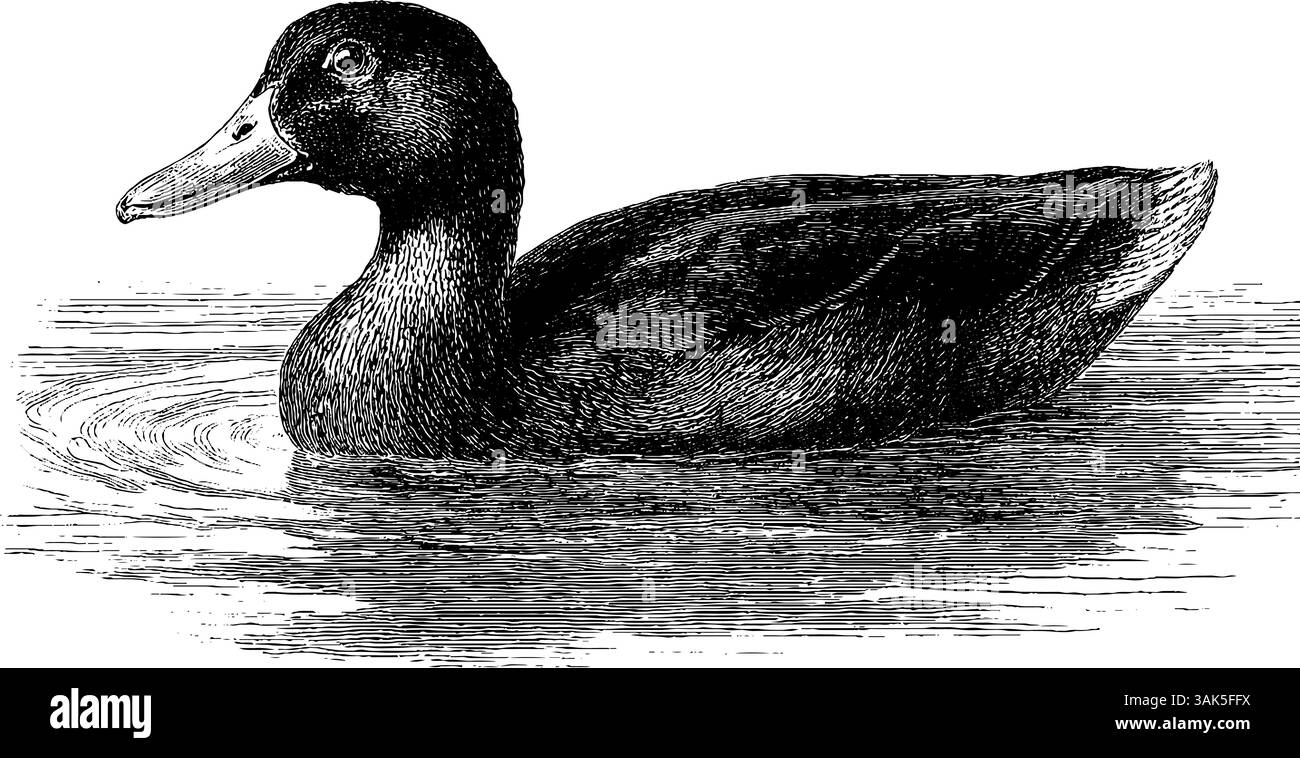 Family bonding and nature conservation: engraved illustration of tree ...