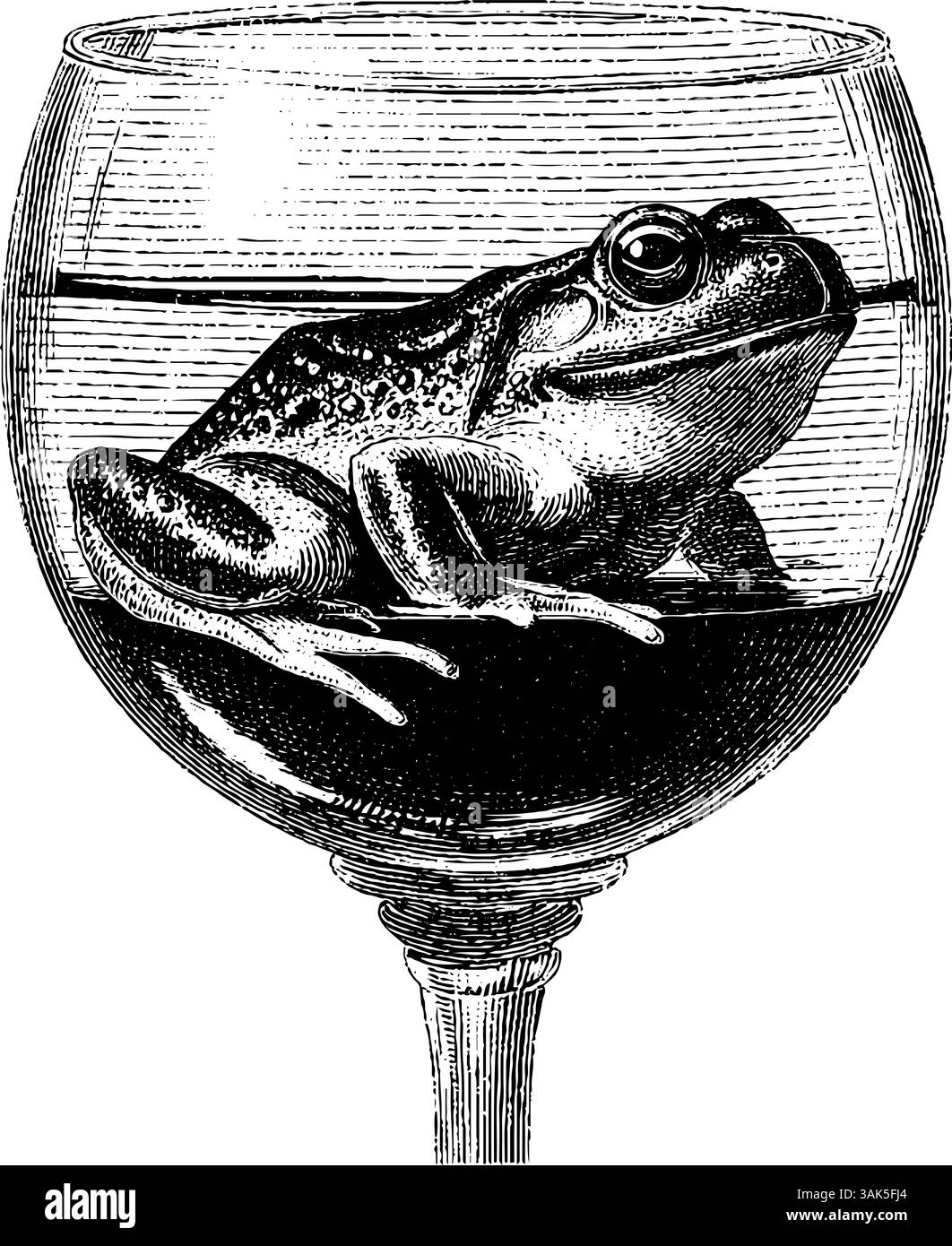 Engraved fur pattern Stock Vector Images - Alamy