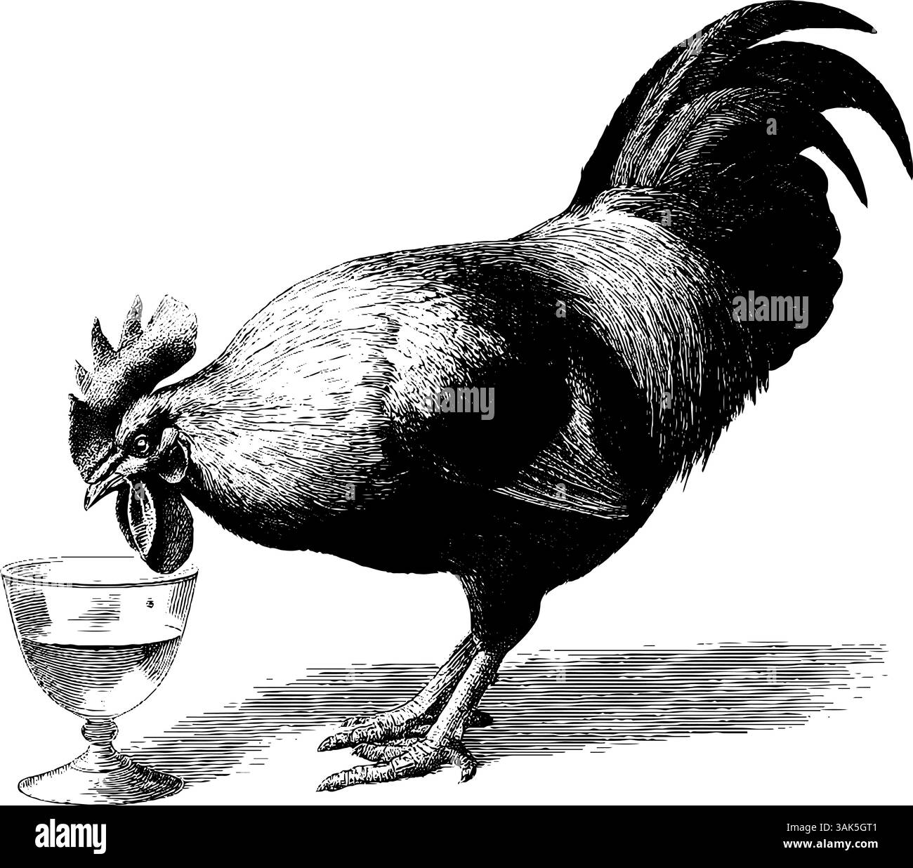 Engraved solar panel design with leaf motif for eco-friendly print and ...