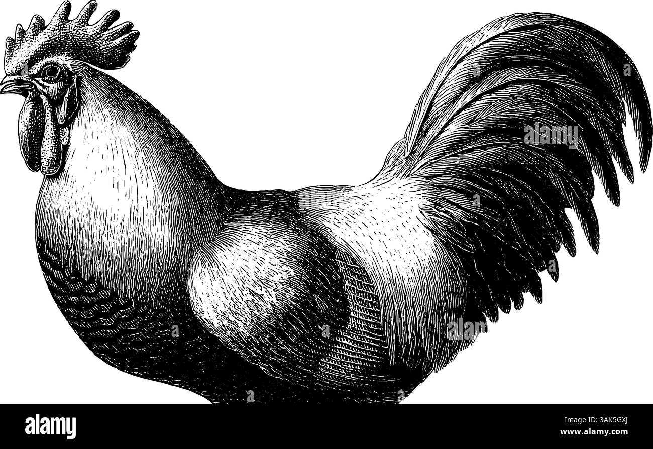 Intricate engraved snail with spiral shell design for nature art ...