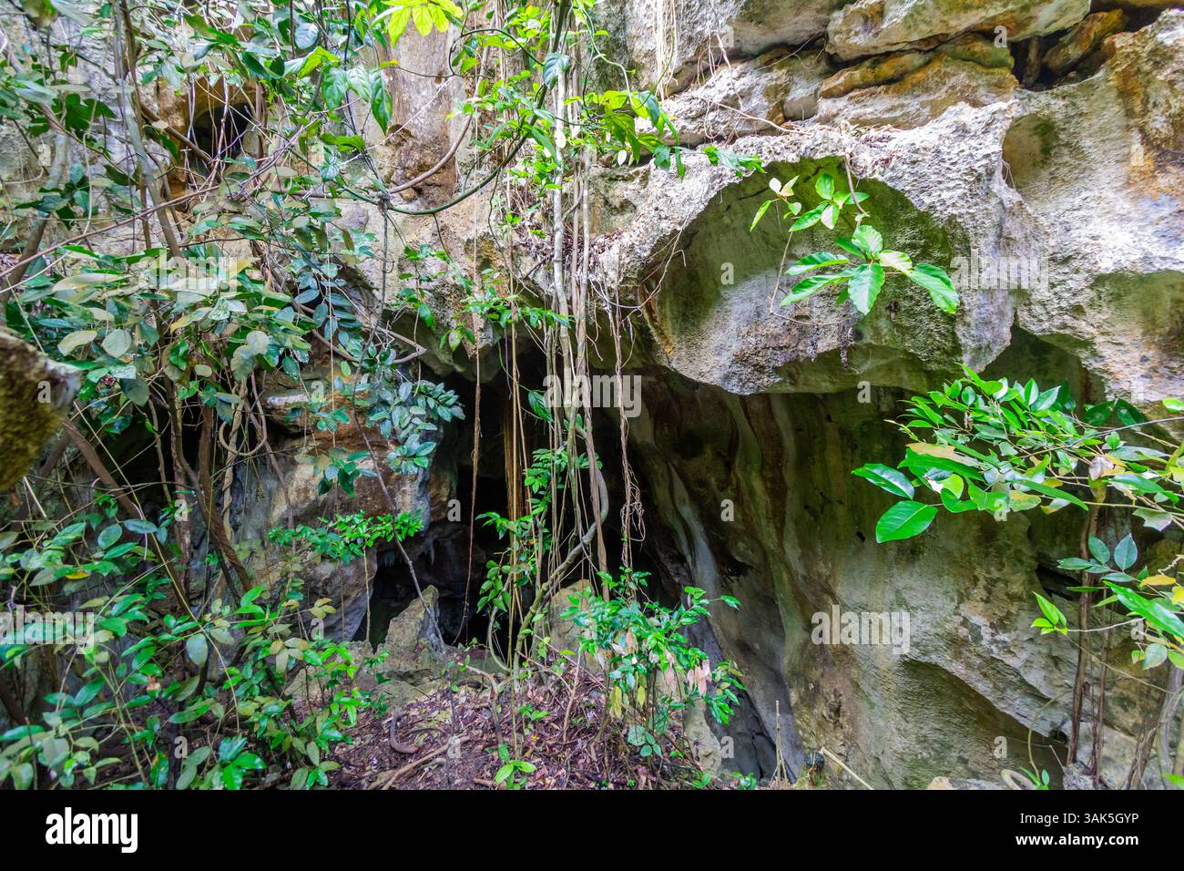 Small entrance of Bakwit Cave located in the mountains of Isla Gigantes ...