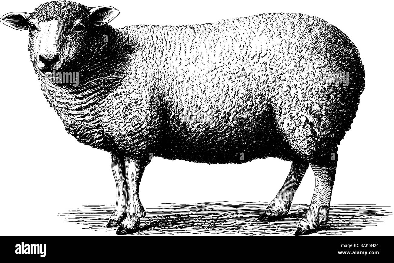 Engraved solar panel with surrounding foliage for energy and nature ...