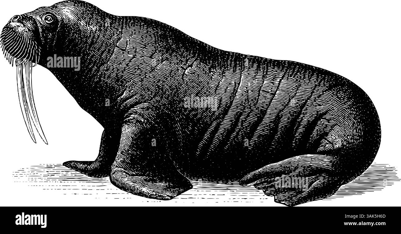 Earth inside glass engraved art for eco awareness and design projects ...