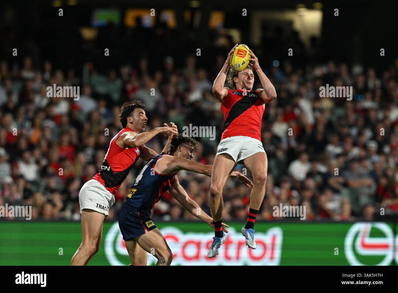 Adelaide, Australia. 12th Apr, 2025. Xavier Duursma of Essendon marks ...