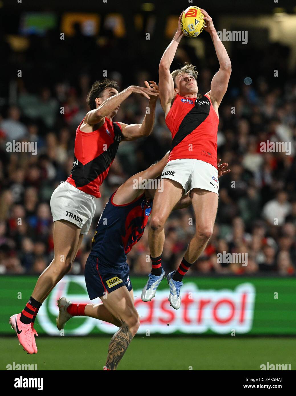 Adelaide, Australia. 12th Apr, 2025. Xavier Duursma of Essendon marks ...