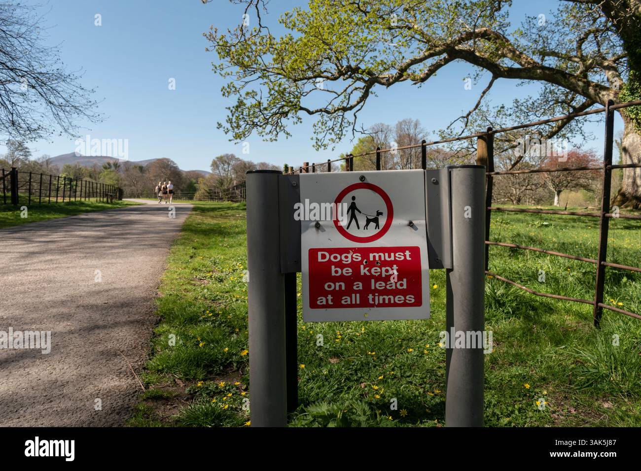 Must be on a leash at all times hi-res stock photography and images - Alamy