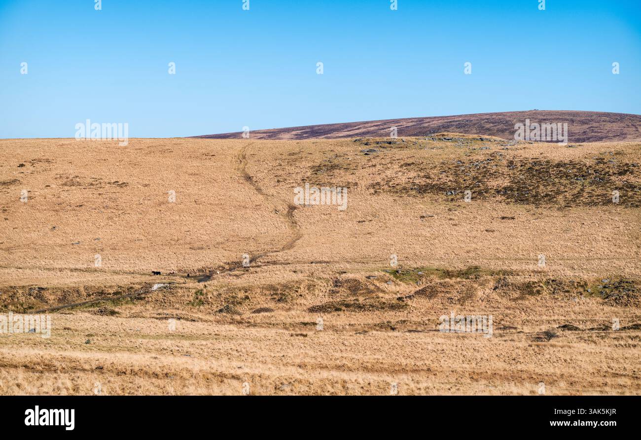 A view down to 'Henry's Ford' on the East Okement River, where some ...