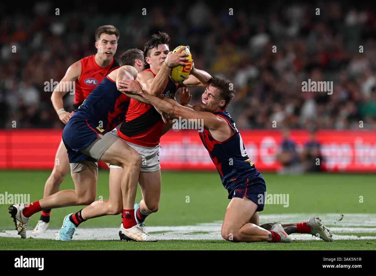 Adelaide, Australia. 12th Apr, 2025. Archie Roberts of Essendon tackled ...