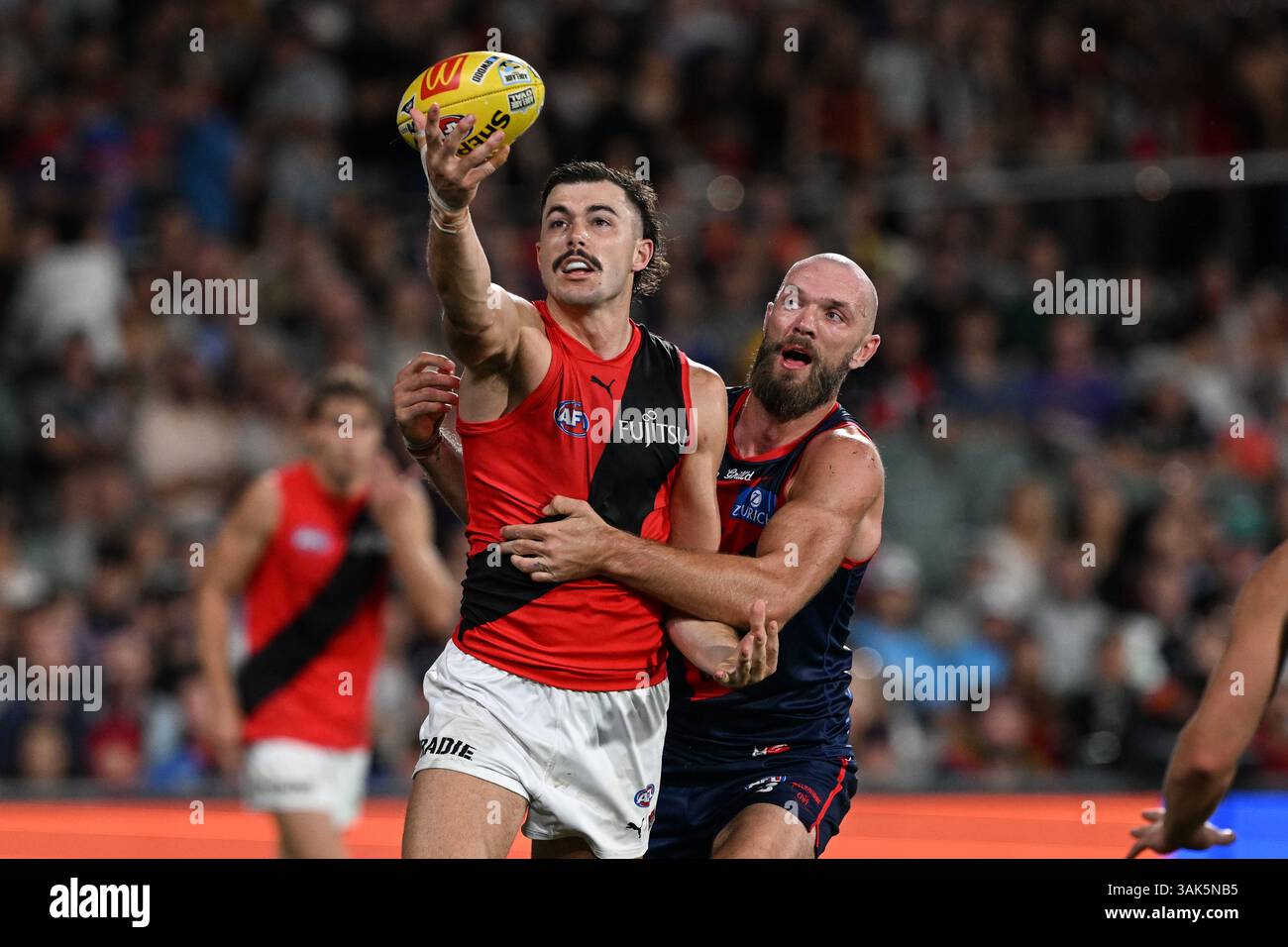 Adelaide, Australia. 12th Apr, 2025. Sam Draper of Essendon and Max Gawn of Melbourne compete in ...