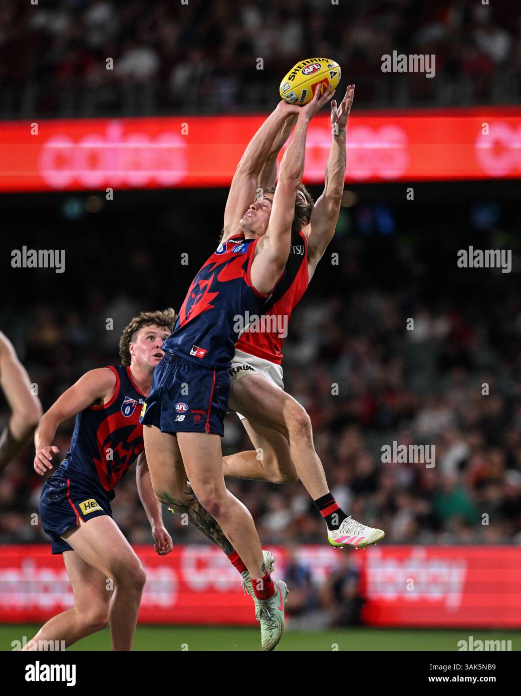 Trent Rivers of Melbourne and Zach Merrett of Essendon compete for a ...