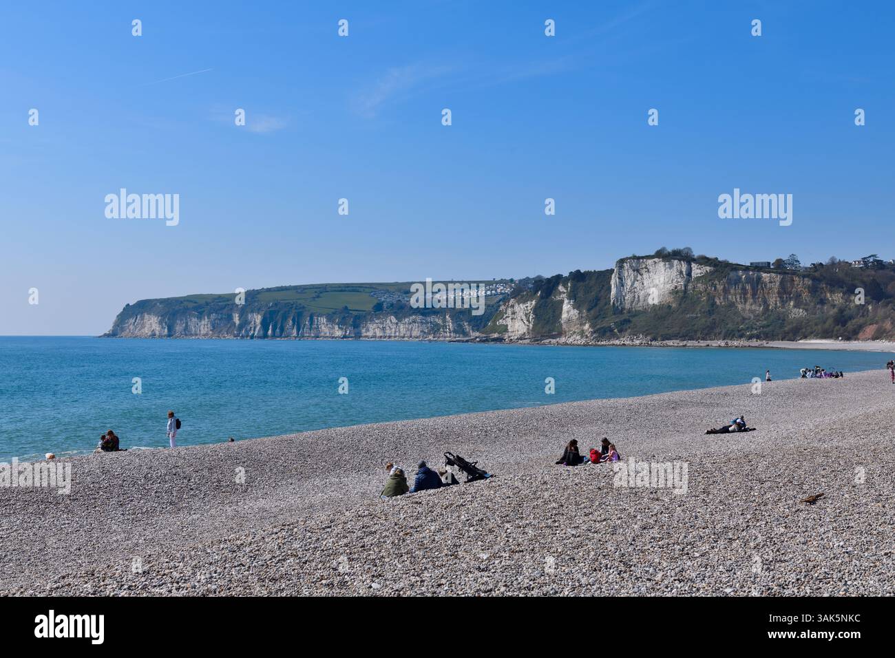 Seaton Pebble Beach in the Spring Devon England uk Stock Photo - Alamy