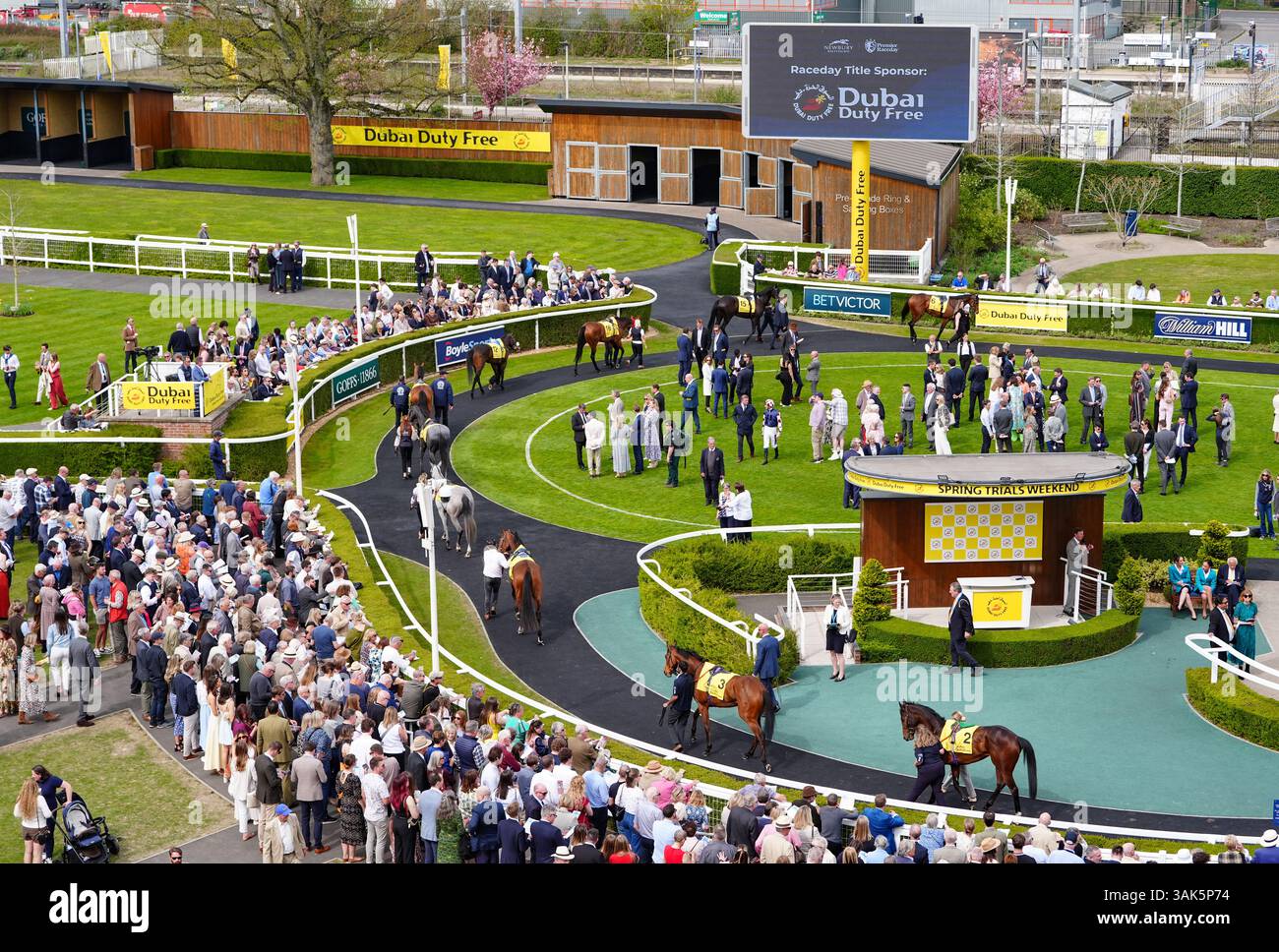 Horses in the parade ring at Newbury Racecourse. Picture date: Saturday ...