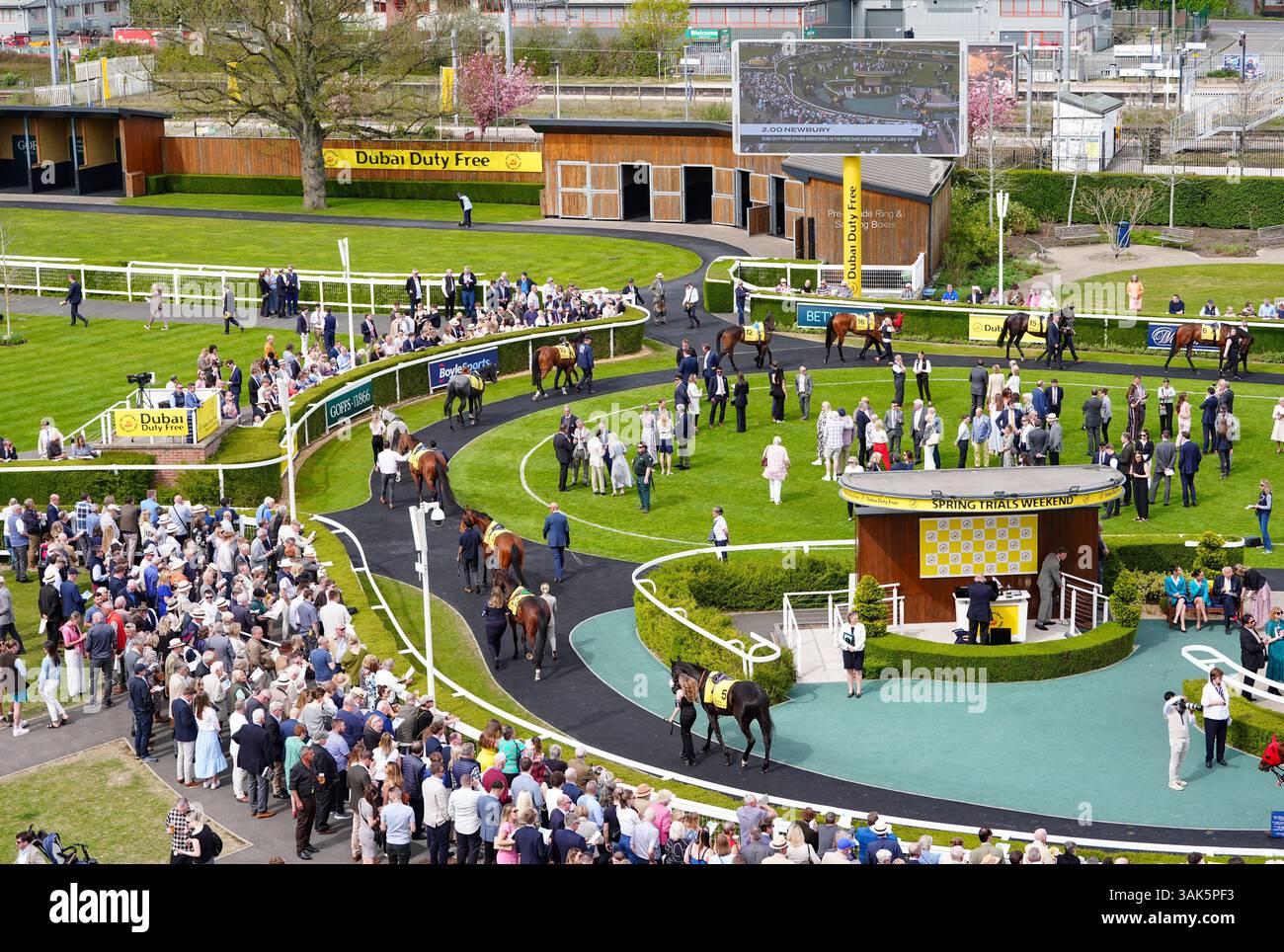 Horses in the parade ring at Newbury Racecourse. Picture date: Saturday ...