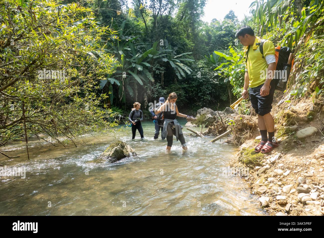Tourists on a jungle trek hike in Ke Bang National Park in Phong Nha ...