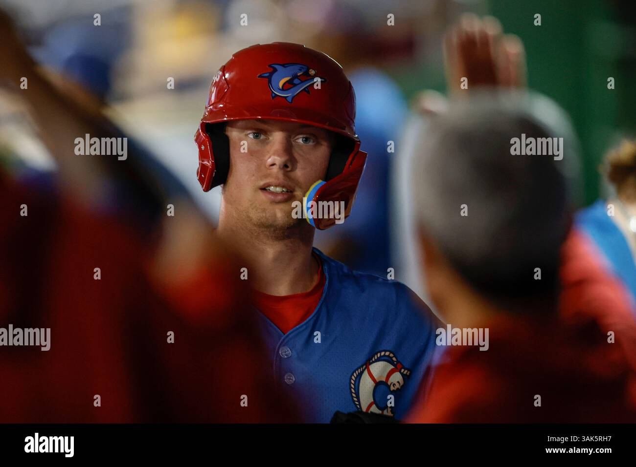 Clearwater FL USA; Clearwater Threshers outfielder Carter Mathison (3 ...