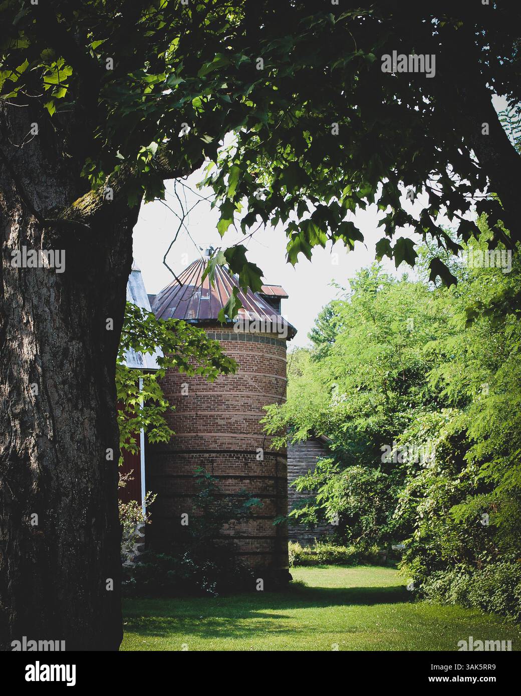 Rustic stone silo partially hidden by lush trees, surrounded by ...
