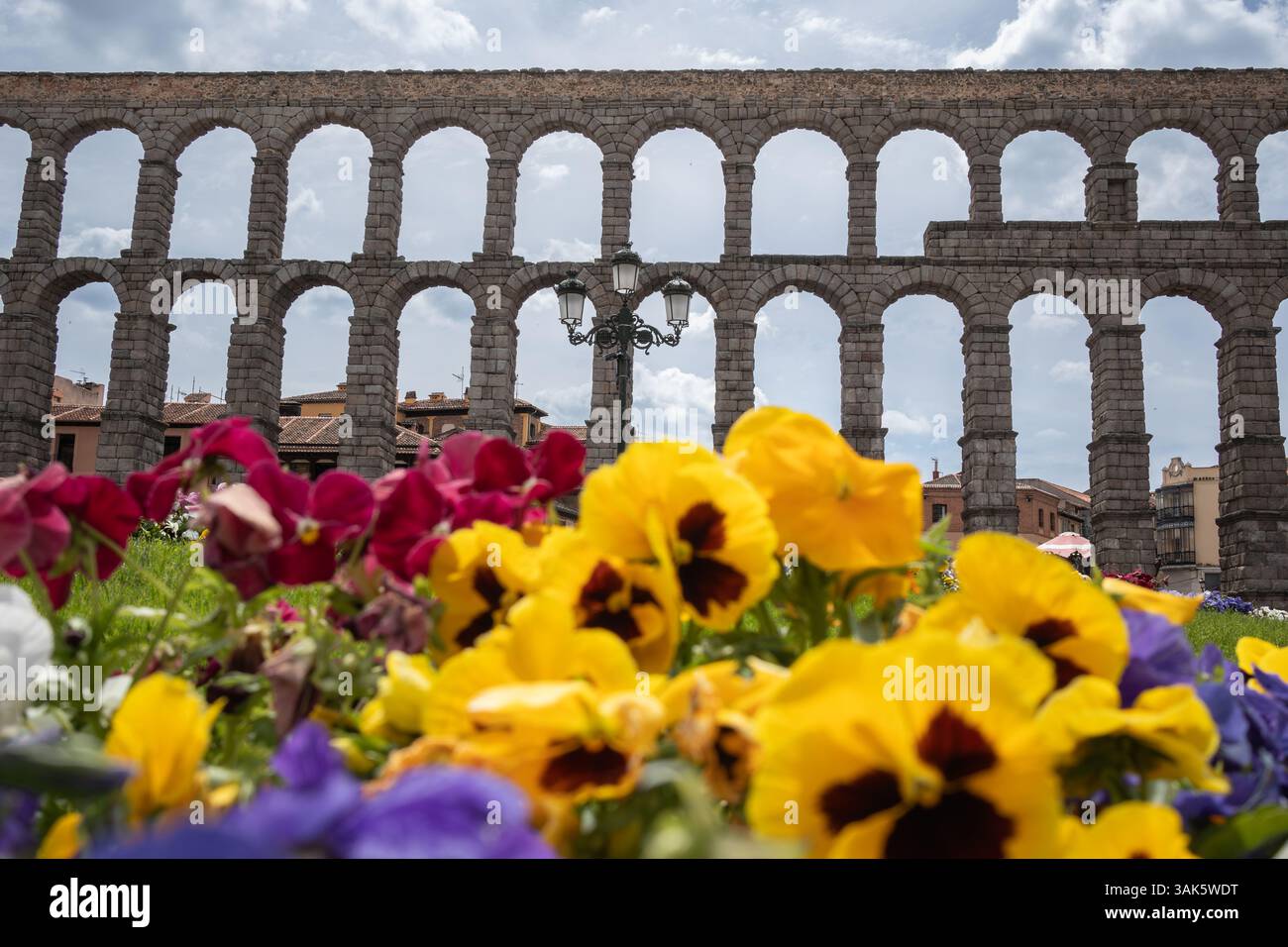 Aqueduct of Segovia with Flowers Foreground in Spain. Beautiful Arch ...