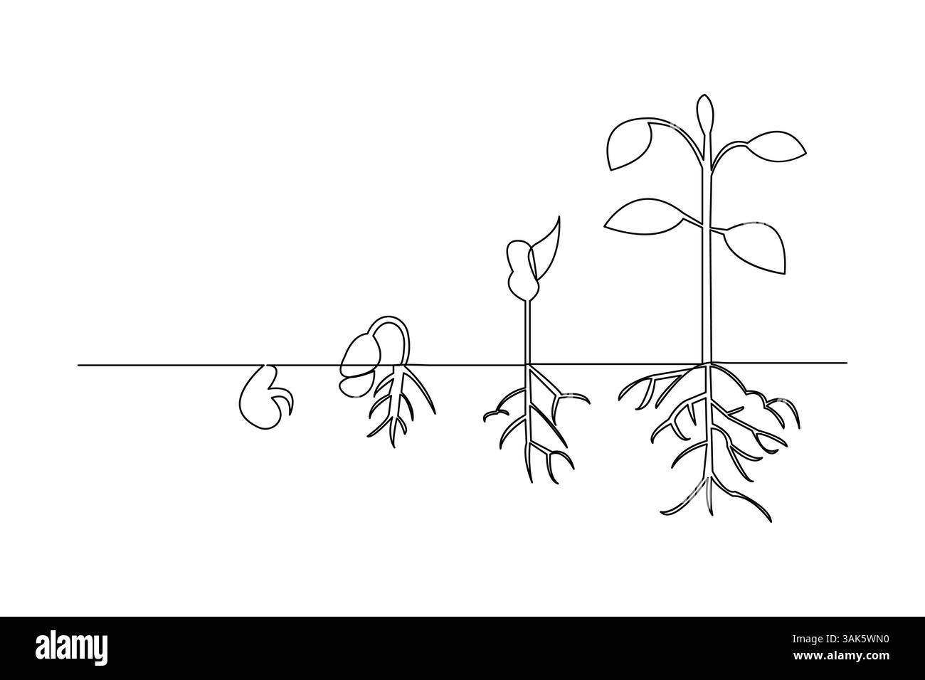 Continuous one line art drwing of plant growth processing outline vector illustration Stock ...