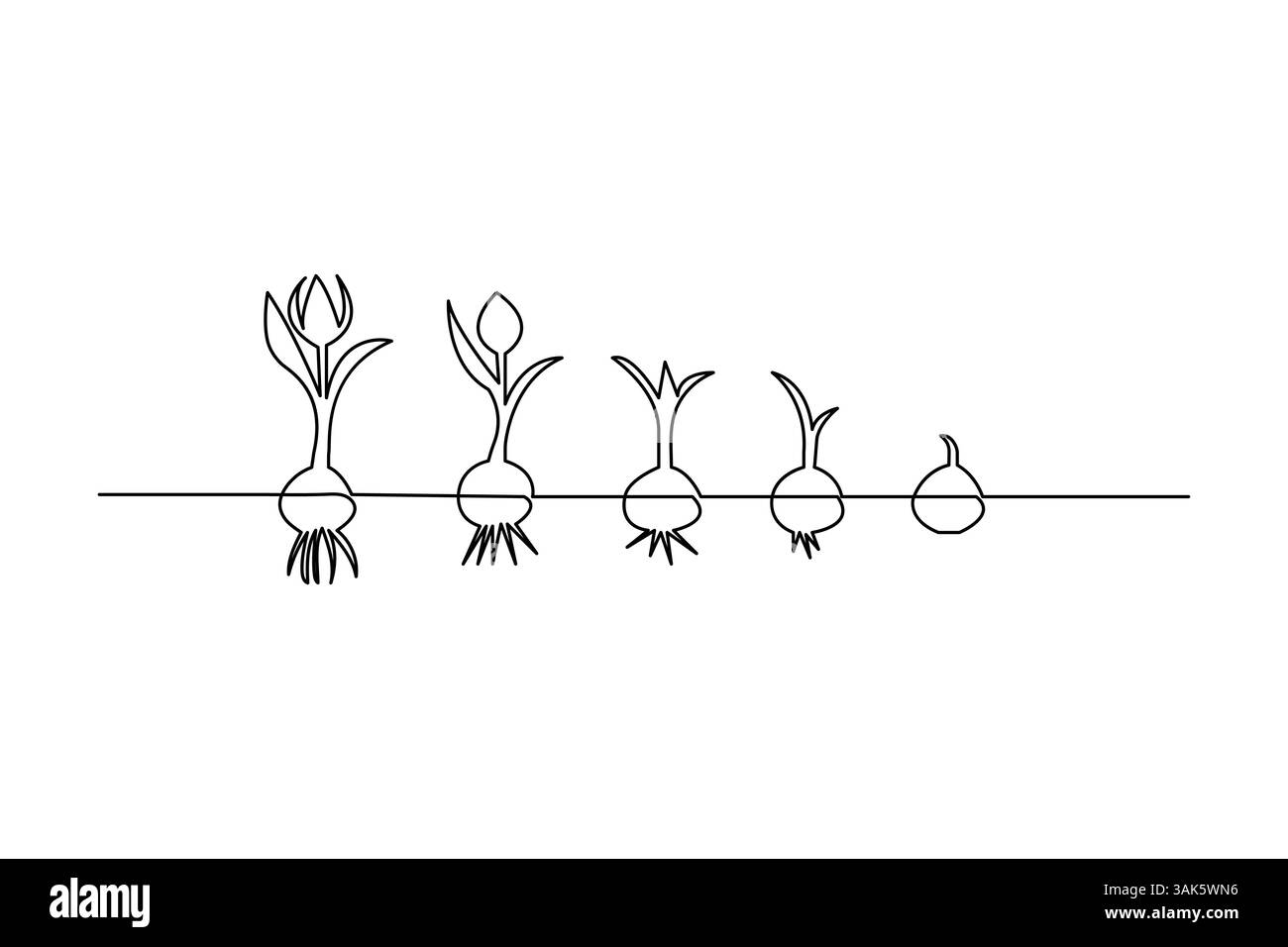 Continuous one line art drwing of plant growth processing outline ...