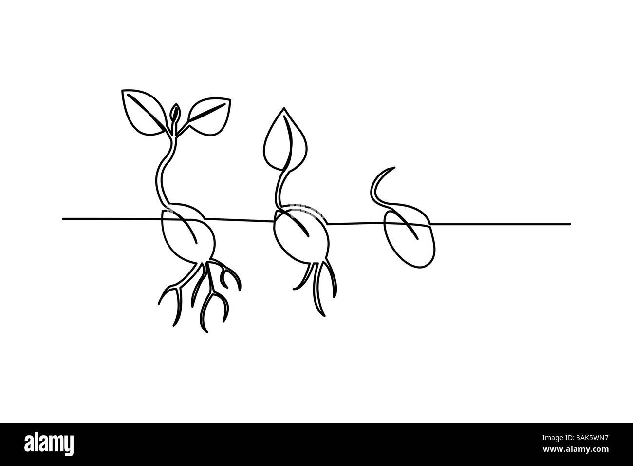 Continuous one line art drwing of plant growth processing outline ...