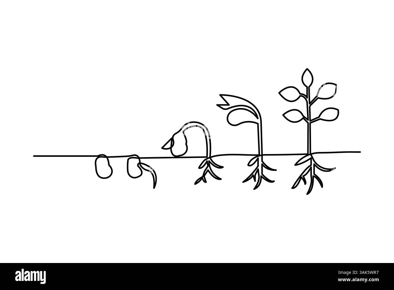Continuous one line art drwing of plant growth processing outline ...