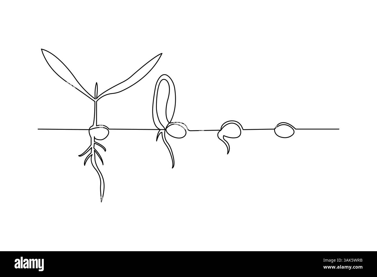 Continuous one line art drwing of plant growth processing outline ...