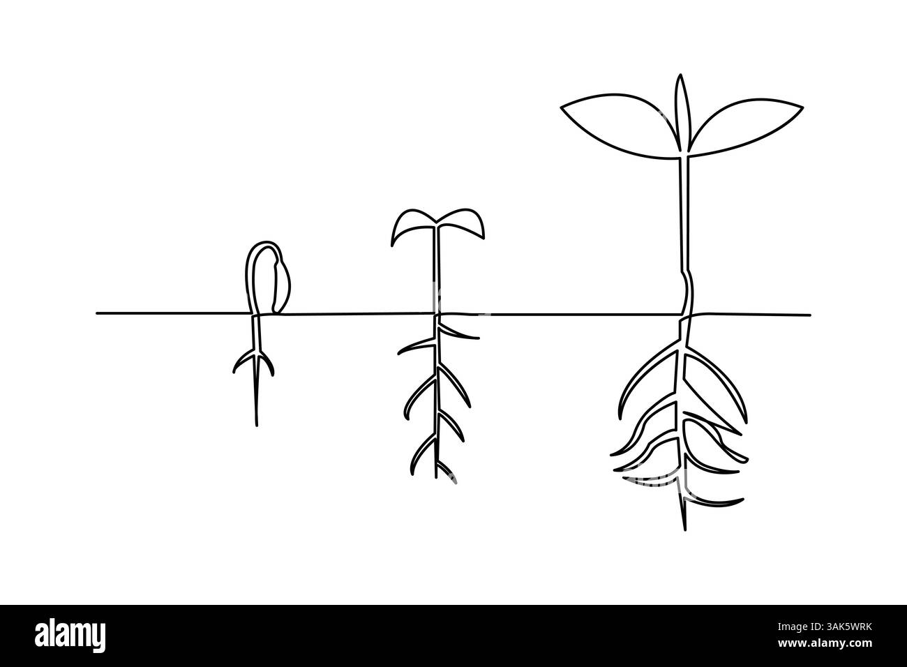 Continuous one line art drwing of plant growth processing outline ...