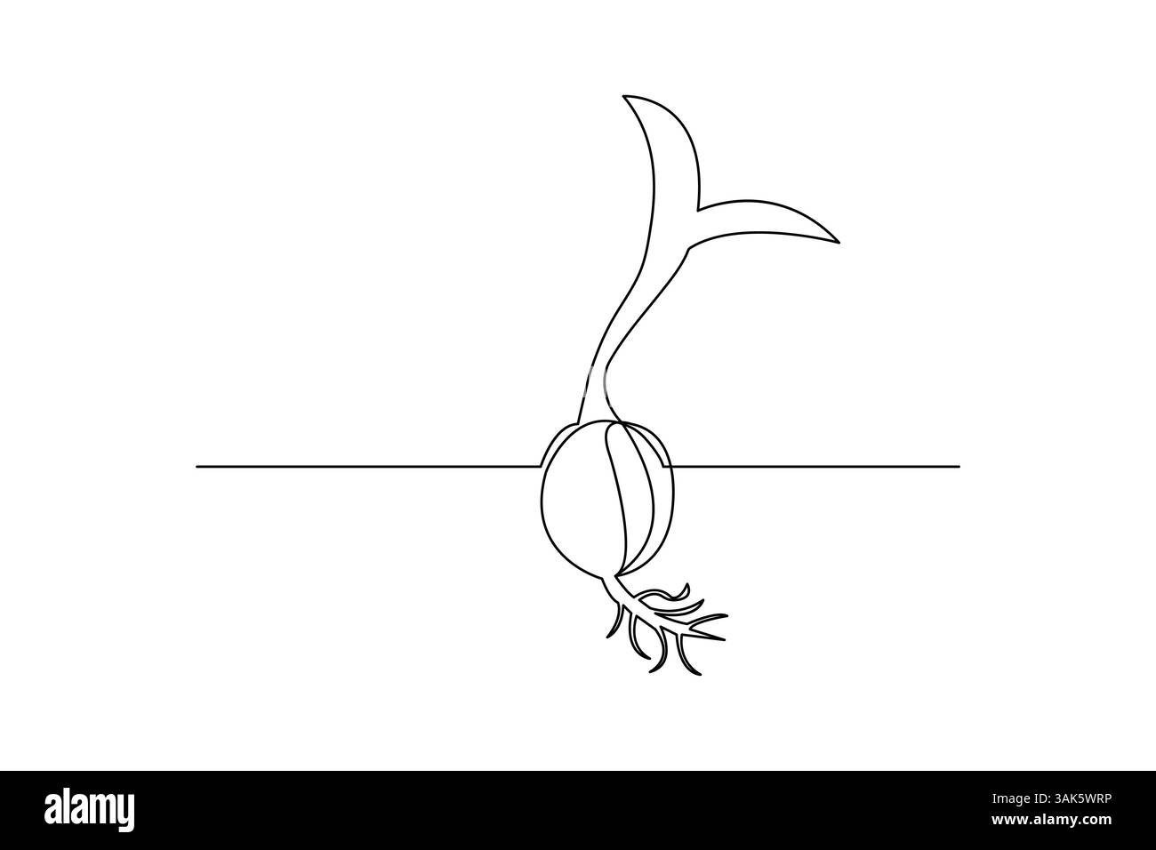 Continuous one line art drwing of plant growth processing outline ...