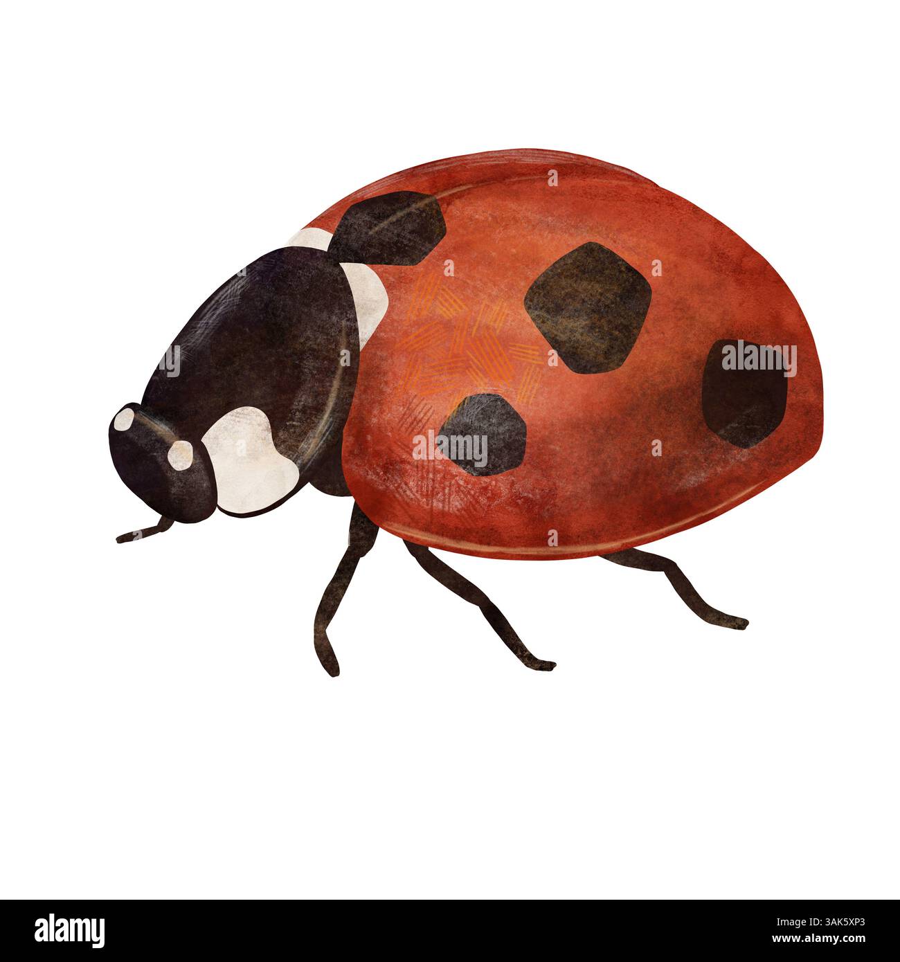 Bright red ladybug, beetle, insect, handmade digital illustration ...