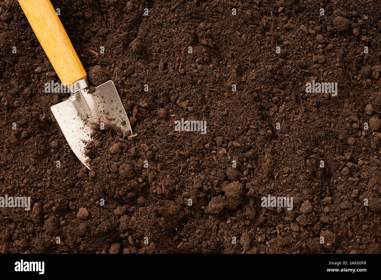 Garden hand cultivator and planting on soil. Season gardening and work ...