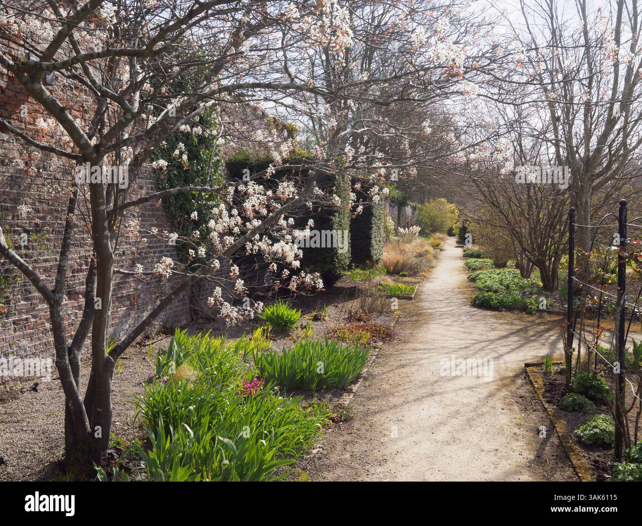 Grass gravel garden hi-res stock photography and images - Alamy