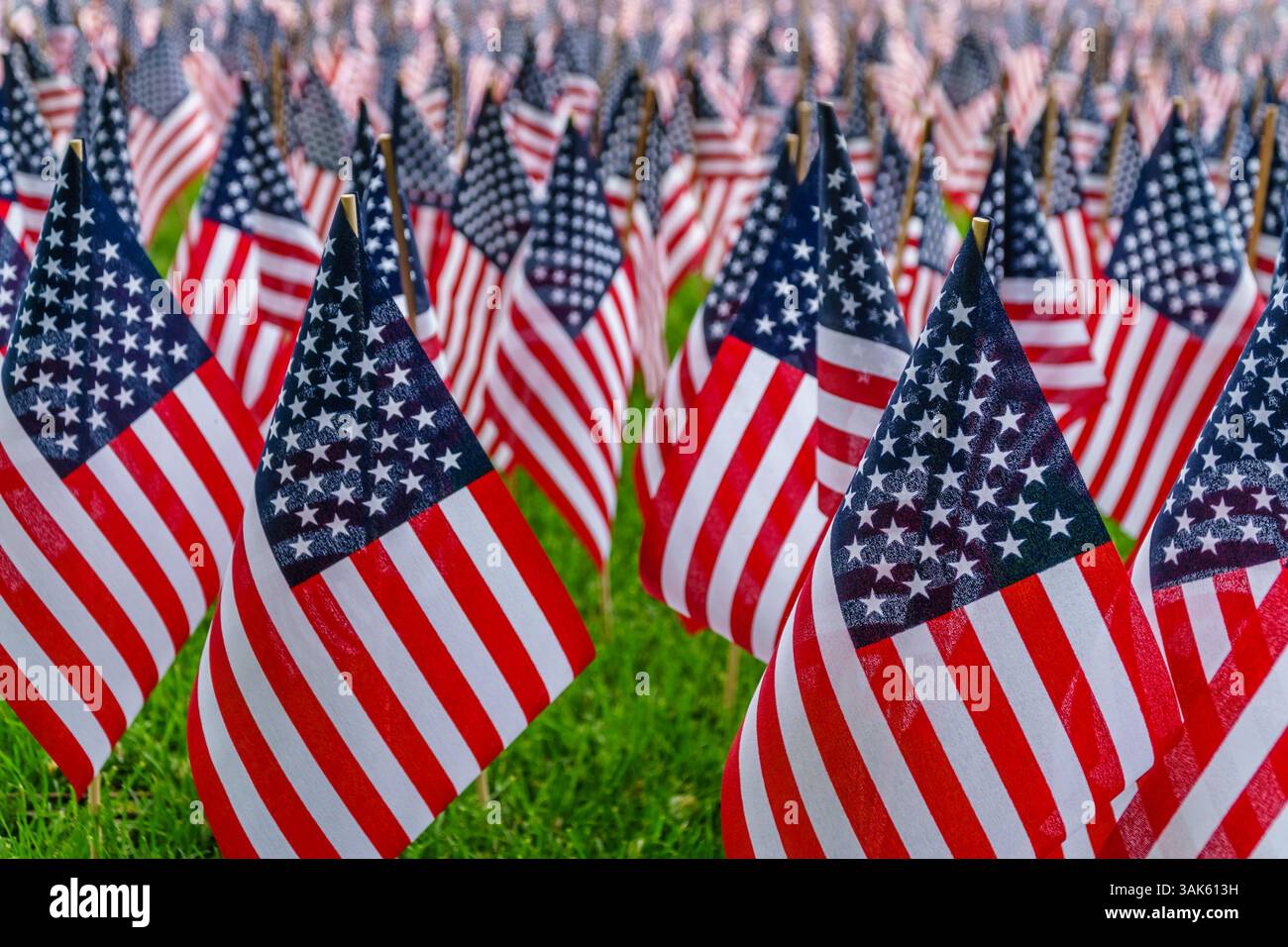 Boston, MA, USA-May 28, 2022. Hundreds of US flags planted in Boston ...