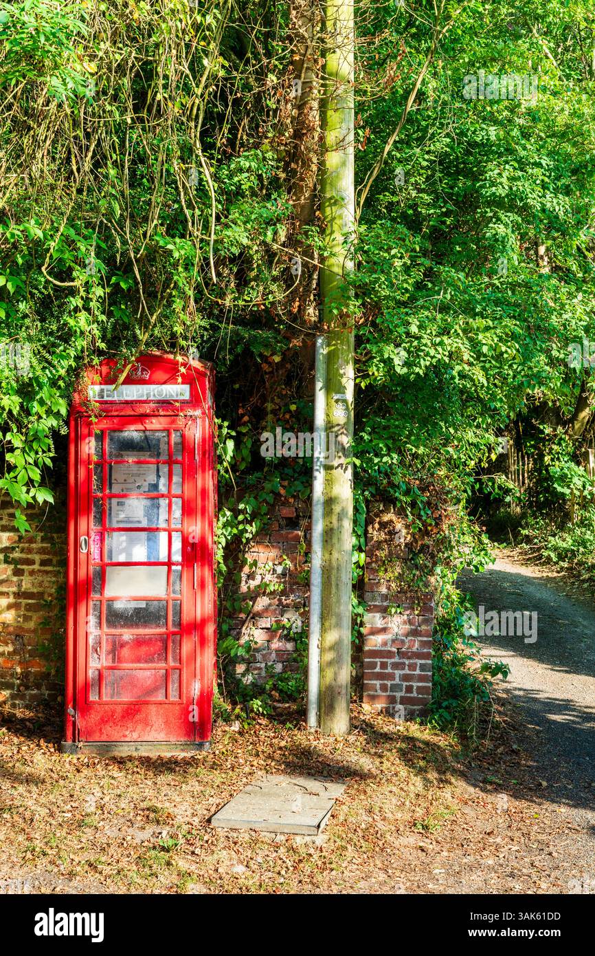 Iconic British red telephone book under the cover of overhanging trees ...