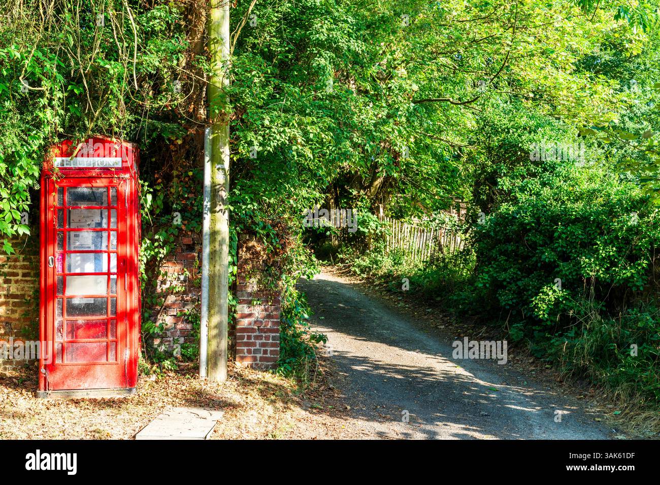 Iconic British red telephone book under the cover of overhanging trees ...