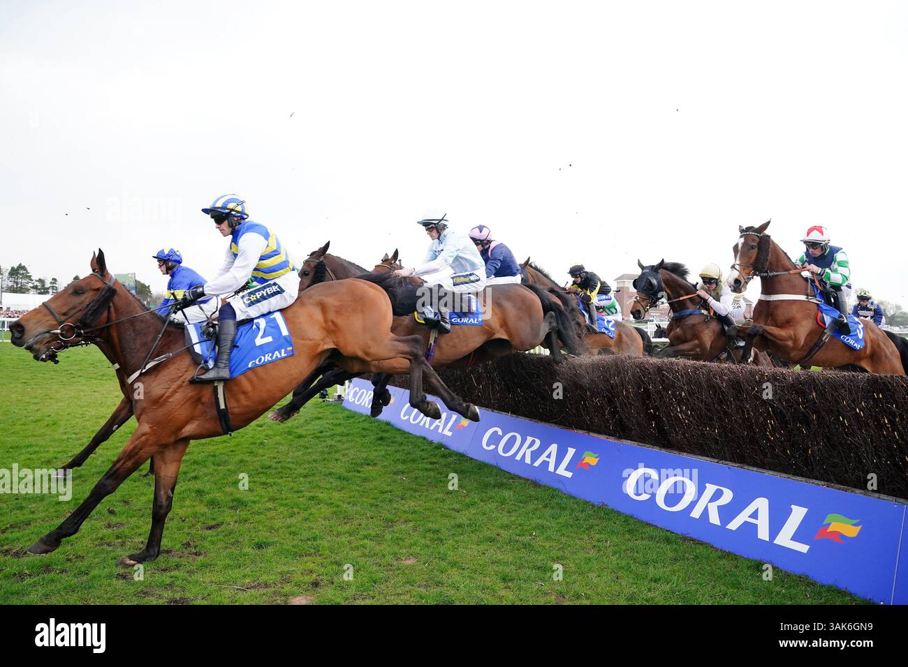 Runners and riders compete in the Coral Scottish Grand National ...