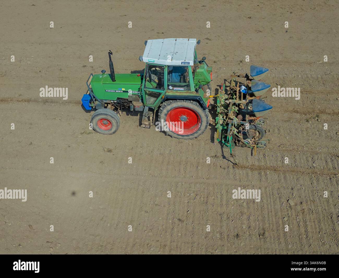 Sowing beet for cattle feeding. April 2025 Stock Photo - Alamy