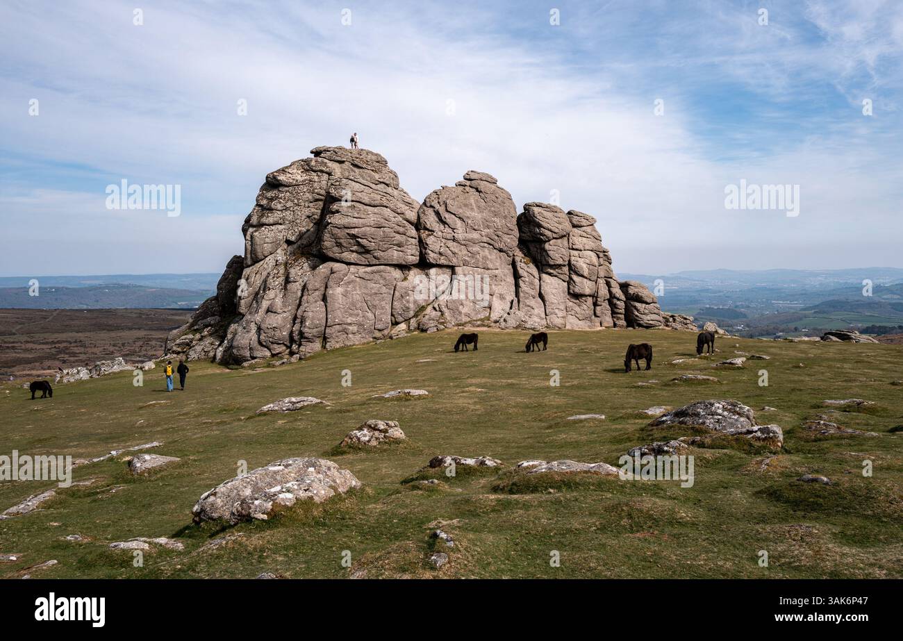 Haytor Rock, Dartmoor, Devon, England Stock Photo - Alamy