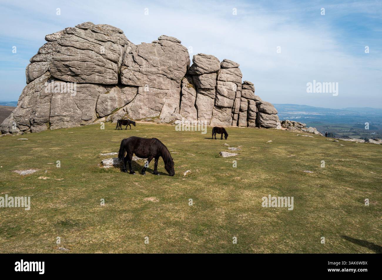 Haytor Rock, Dartmoor, Devon, England Stock Photo - Alamy