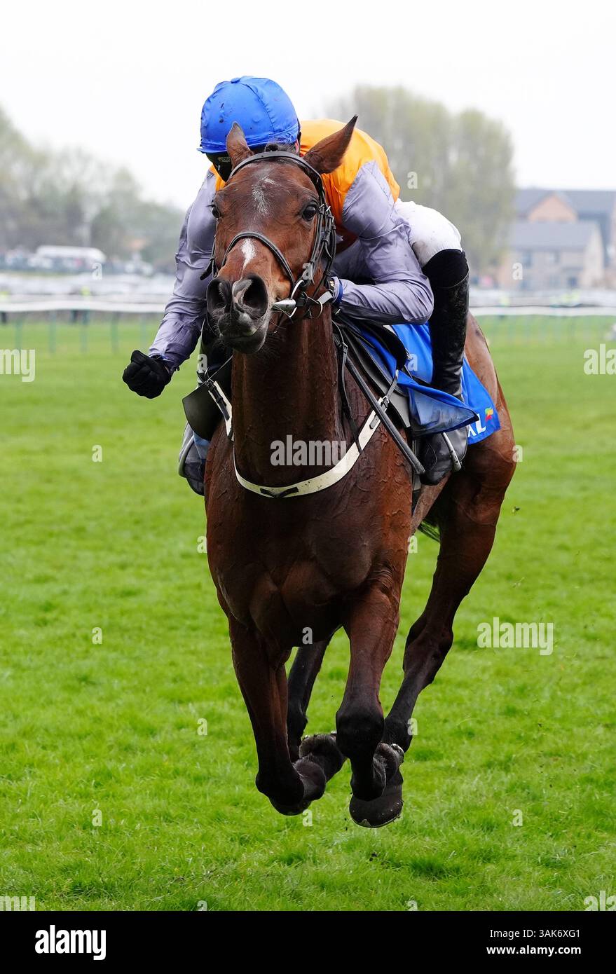 Captain Cody ridden by Harry Cobden on their way to winning the Coral ...