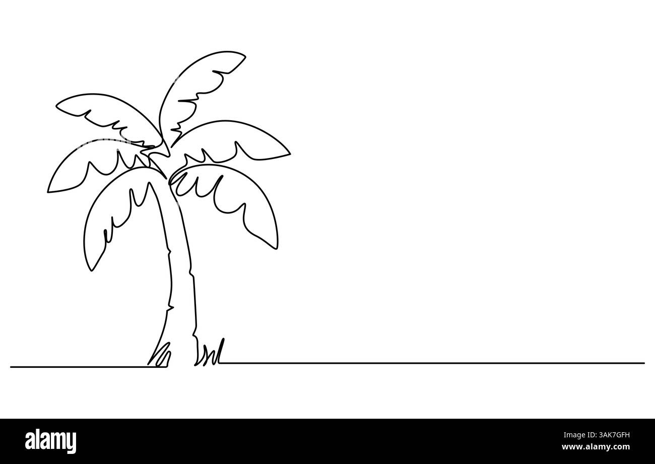 Palm tree line art Black and White Stock Photos & Images - Alamy