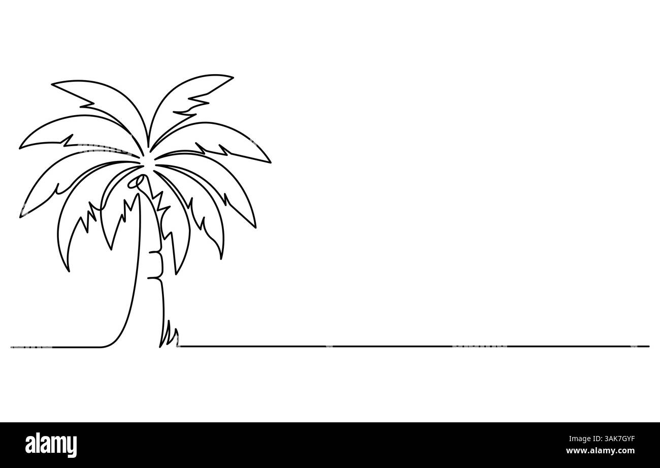 Palm tree line art Black and White Stock Photos & Images - Alamy