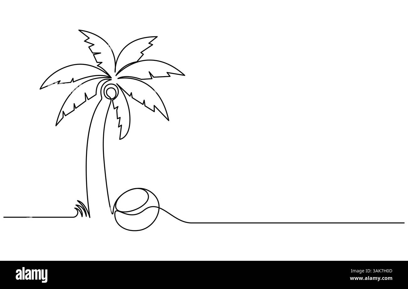 Palm tree line art Black and White Stock Photos & Images - Alamy